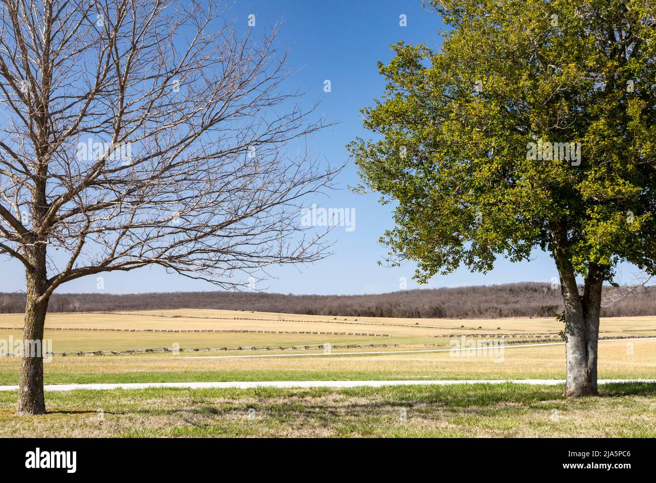 Garfield, Arkansas - Pea Ridge National Military Park. In 1862 the ...