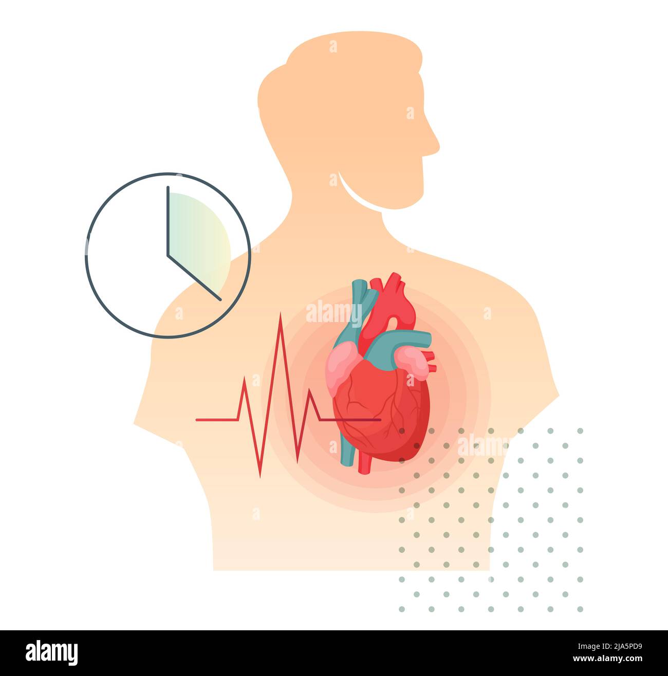 Cardiac conduction system hi-res stock photography and images - Alamy