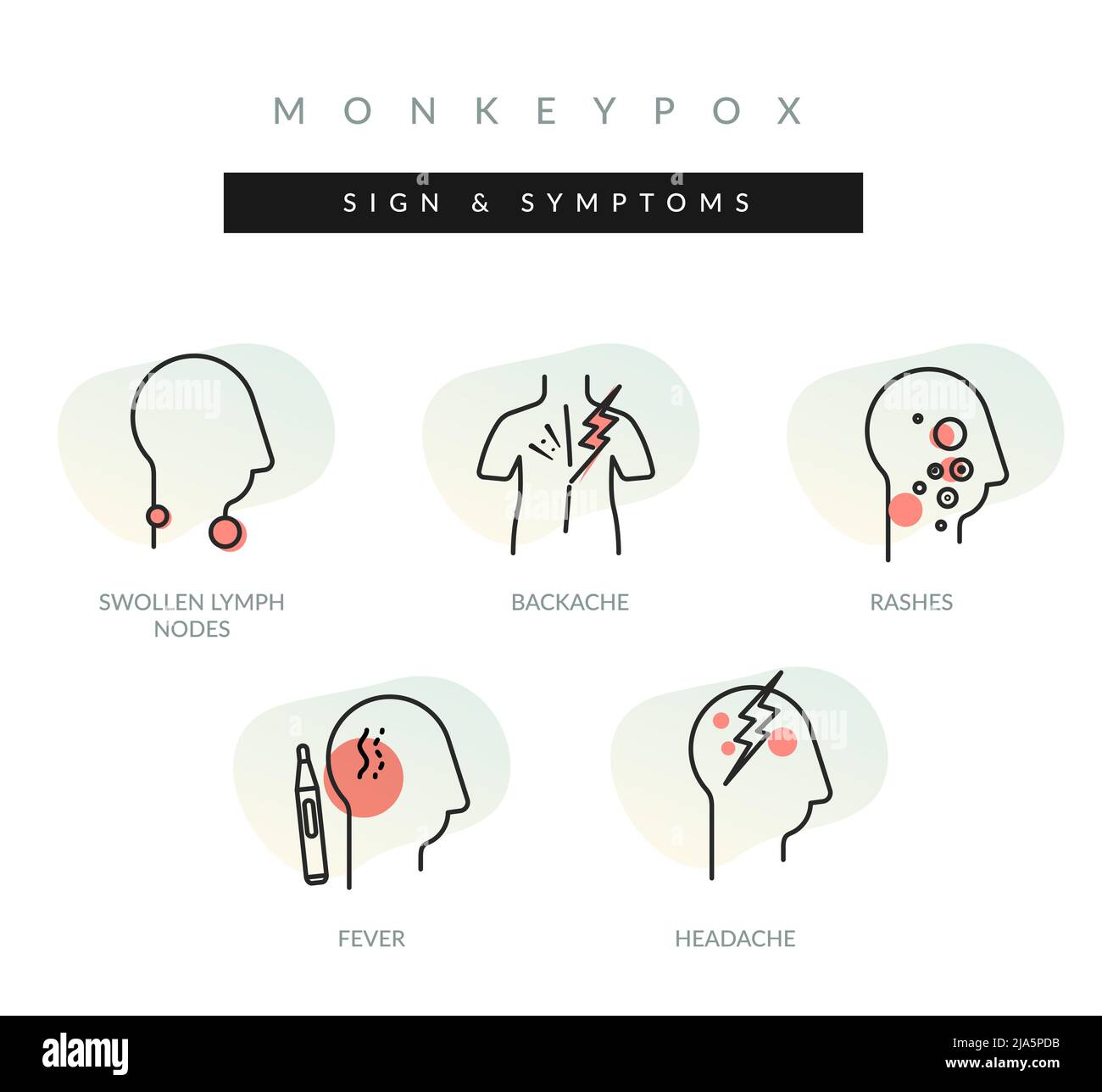 Monkeypox virus vector vectors hi-res stock photography and images - Alamy
