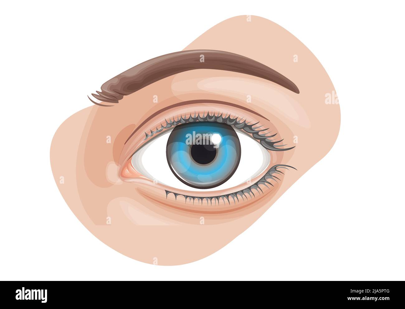 Sore eye illustration Stock Vector Images - Alamy