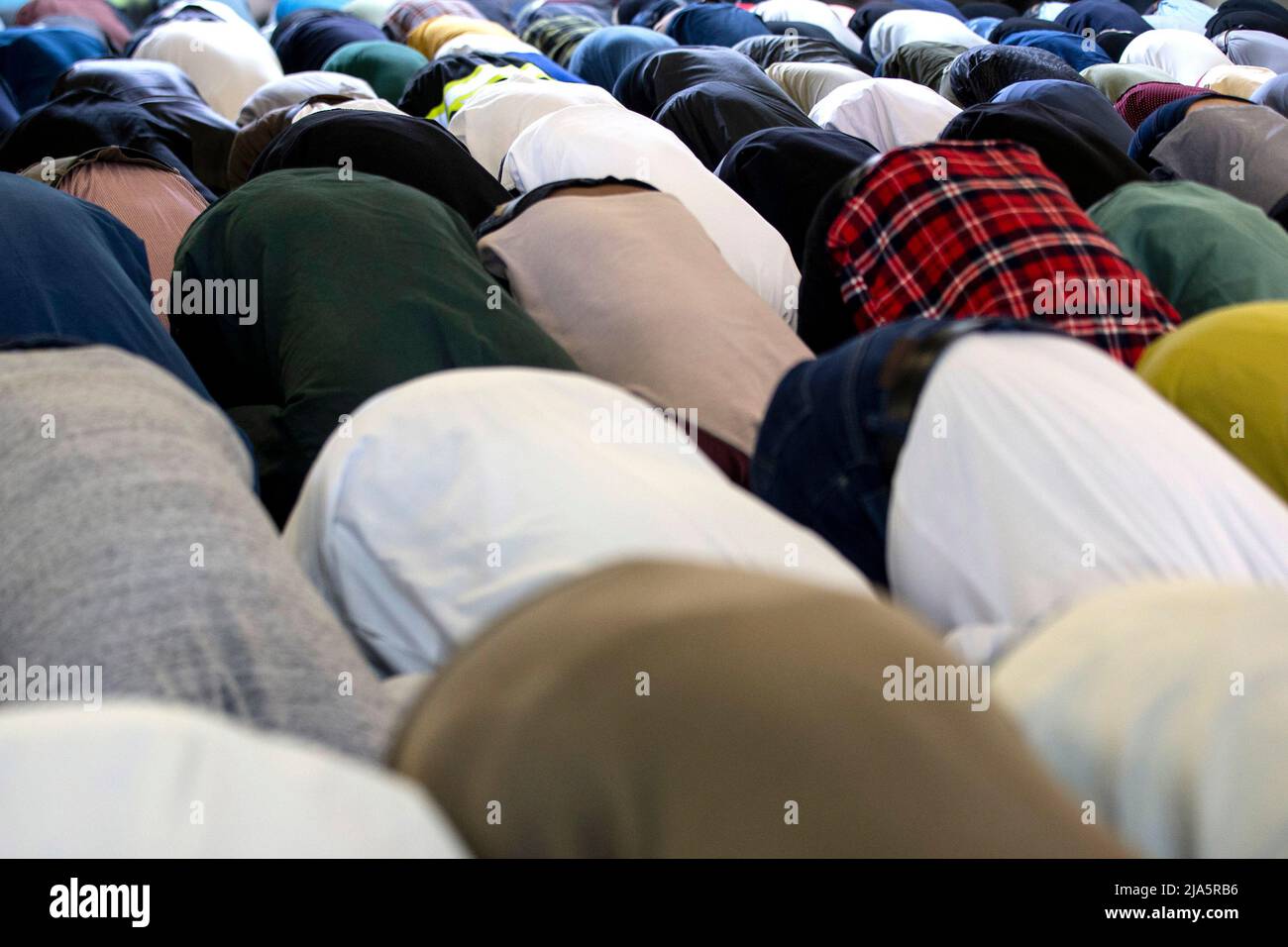 Worshipers pray at ISNA Mosque in Mississauga, Ont., on Friday, May 27 ...