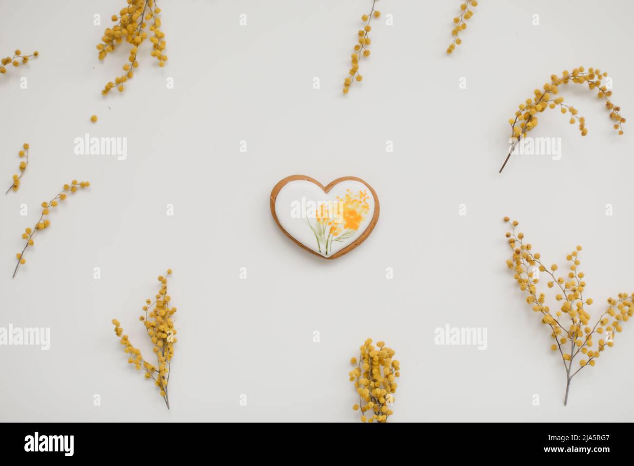 Easter gingerbread cookie and yellow mimosa florwers on white ...
