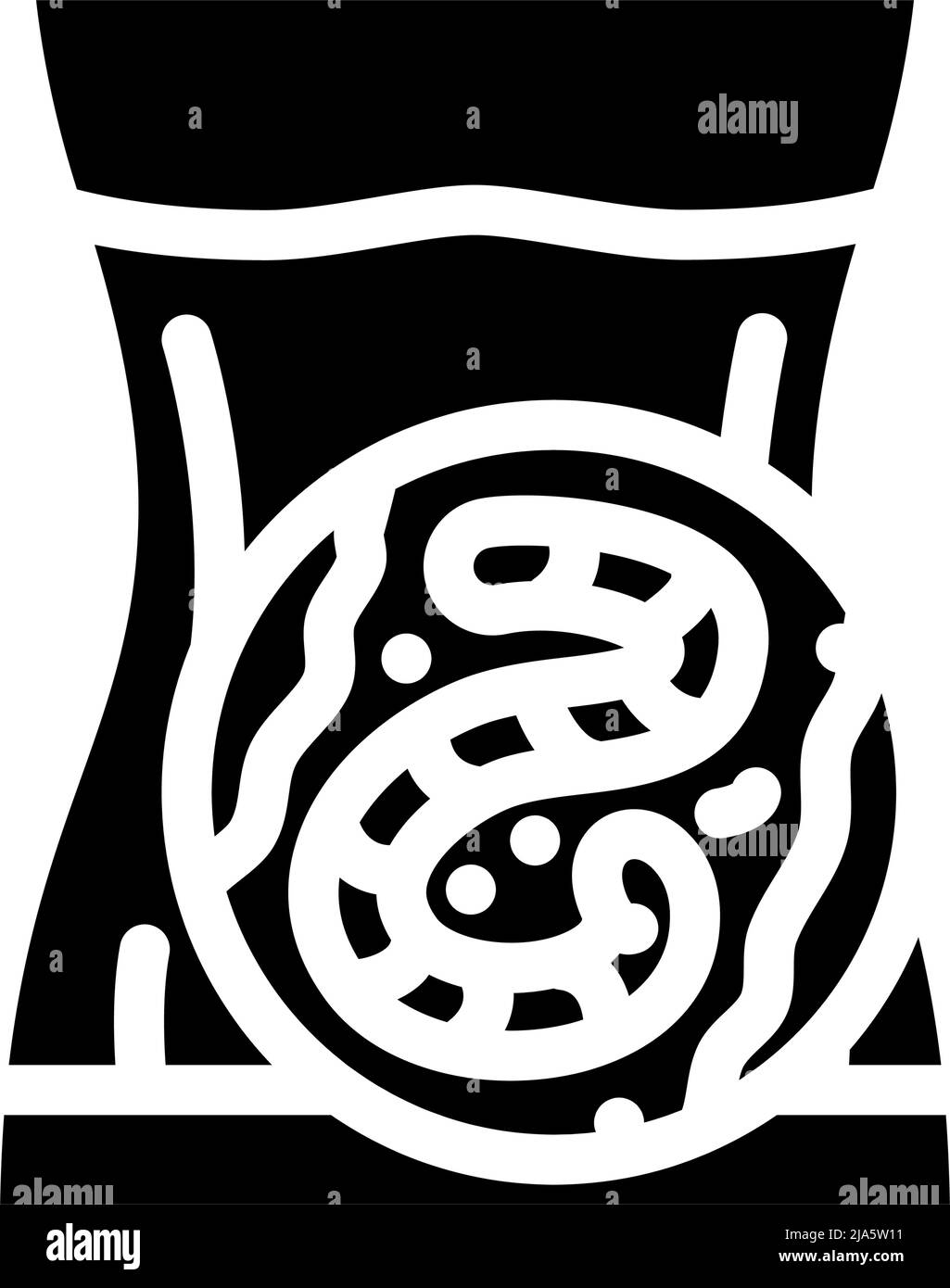 parasites in stomach glyph icon vector illustration Stock Vector Image ...