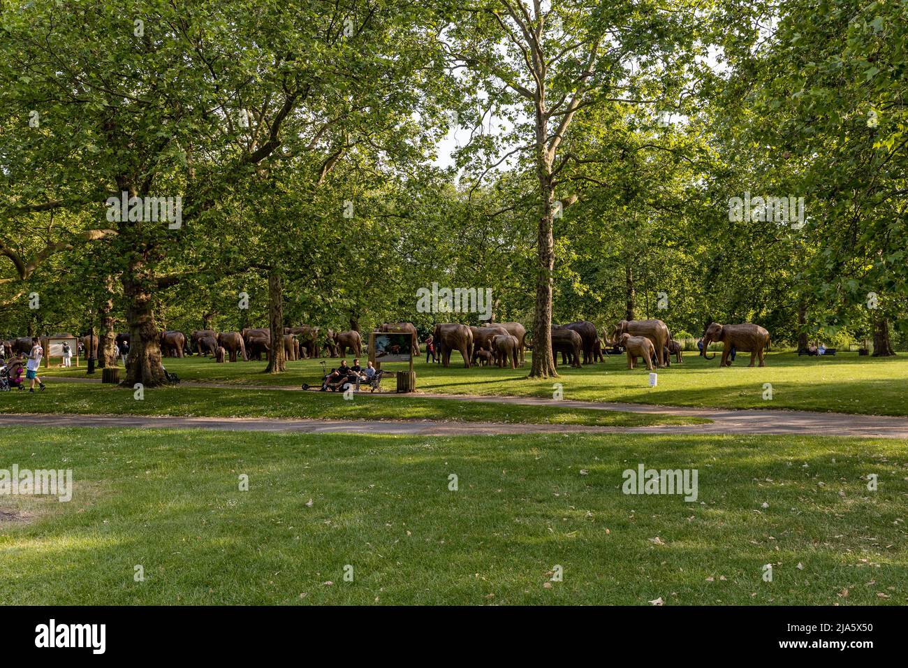 CoExistence campaign continues as 100 life-size asian elephant ...