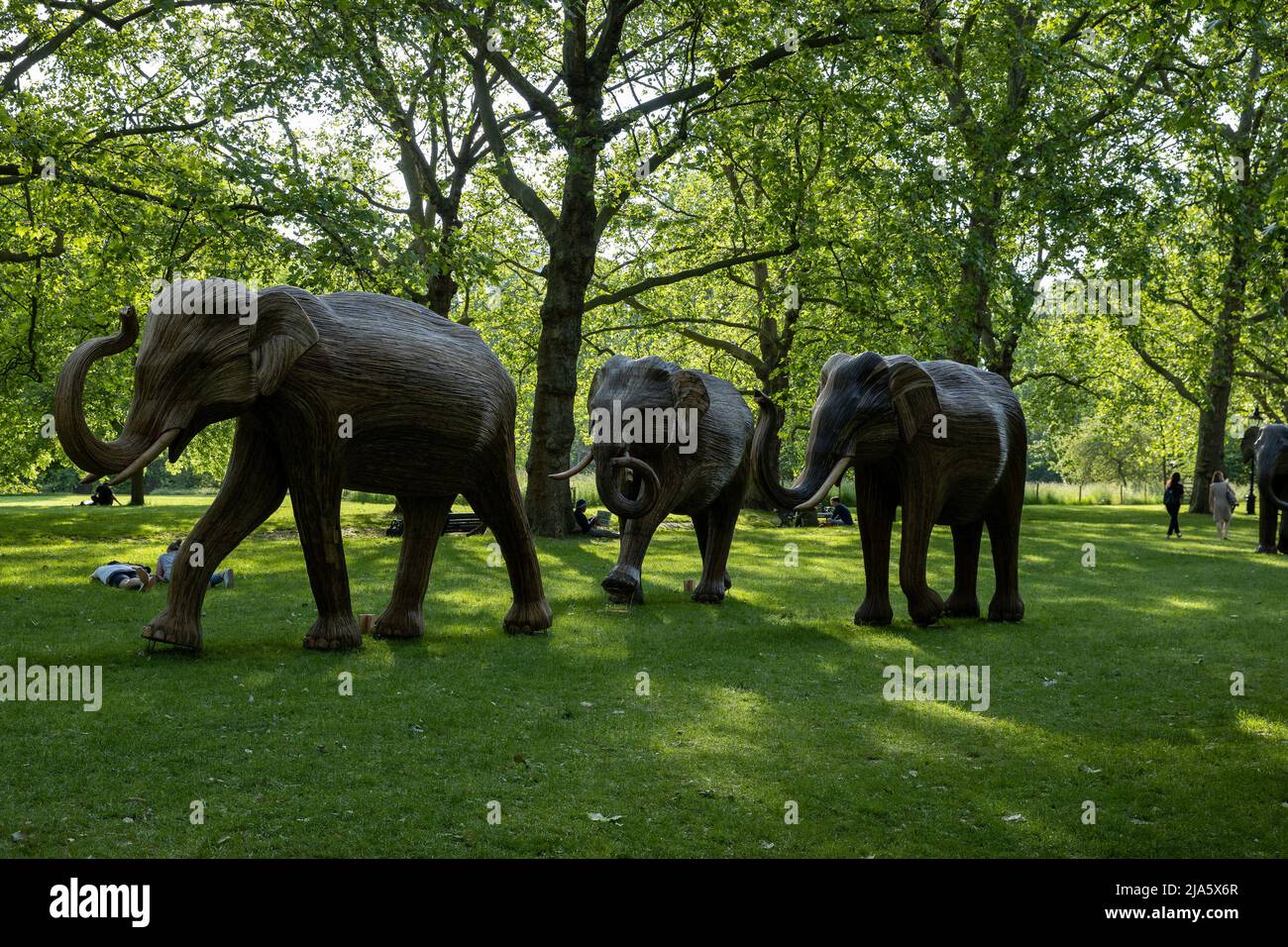 CoExistence campaign continues as 100 life-size asian elephant ...