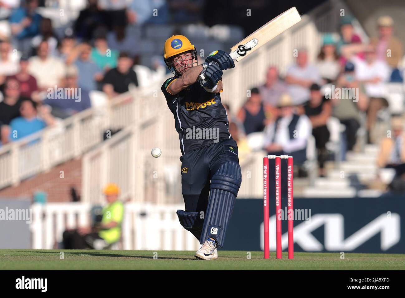 Cricket david lloyd hi-res stock photography and images - Alamy