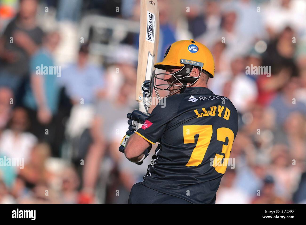Cricket david lloyd hi-res stock photography and images - Alamy