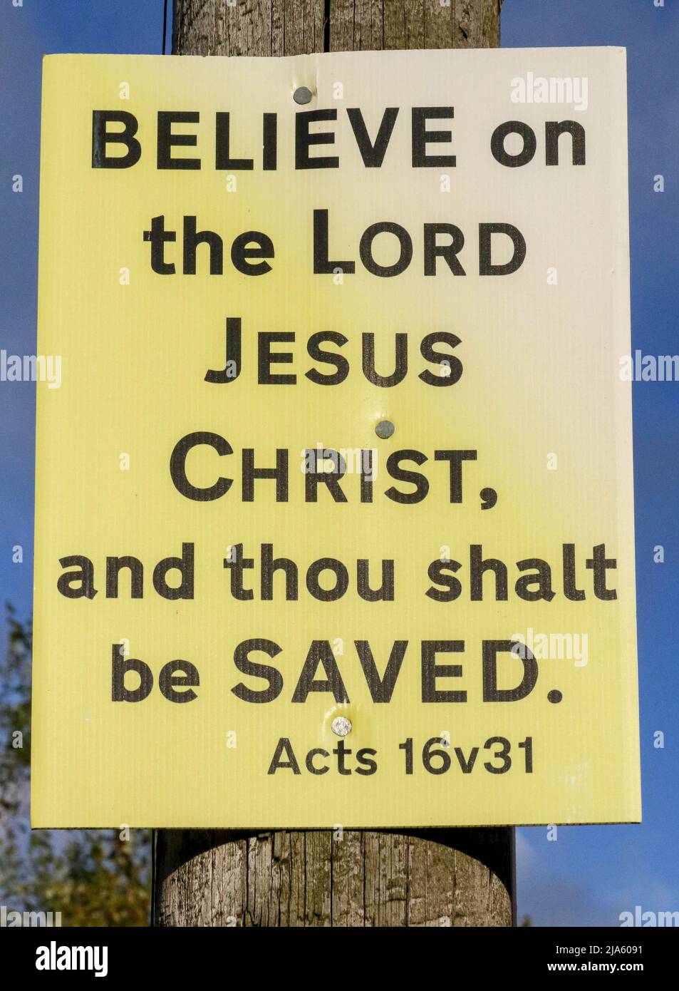 Acts 16 Bible Verses