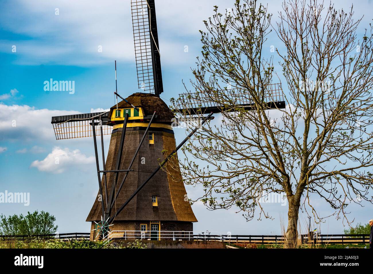 18tj-Century Dutch Windmills dot the rural scene in Kinderdijk ...