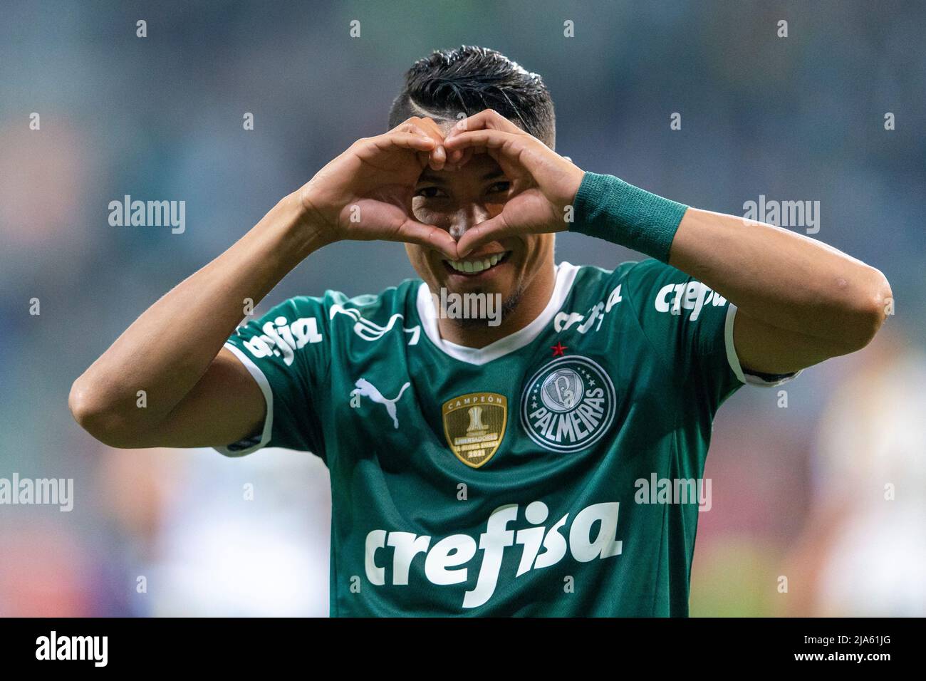 Rony palmeiras copa libertadores hi-res stock photography and images ...