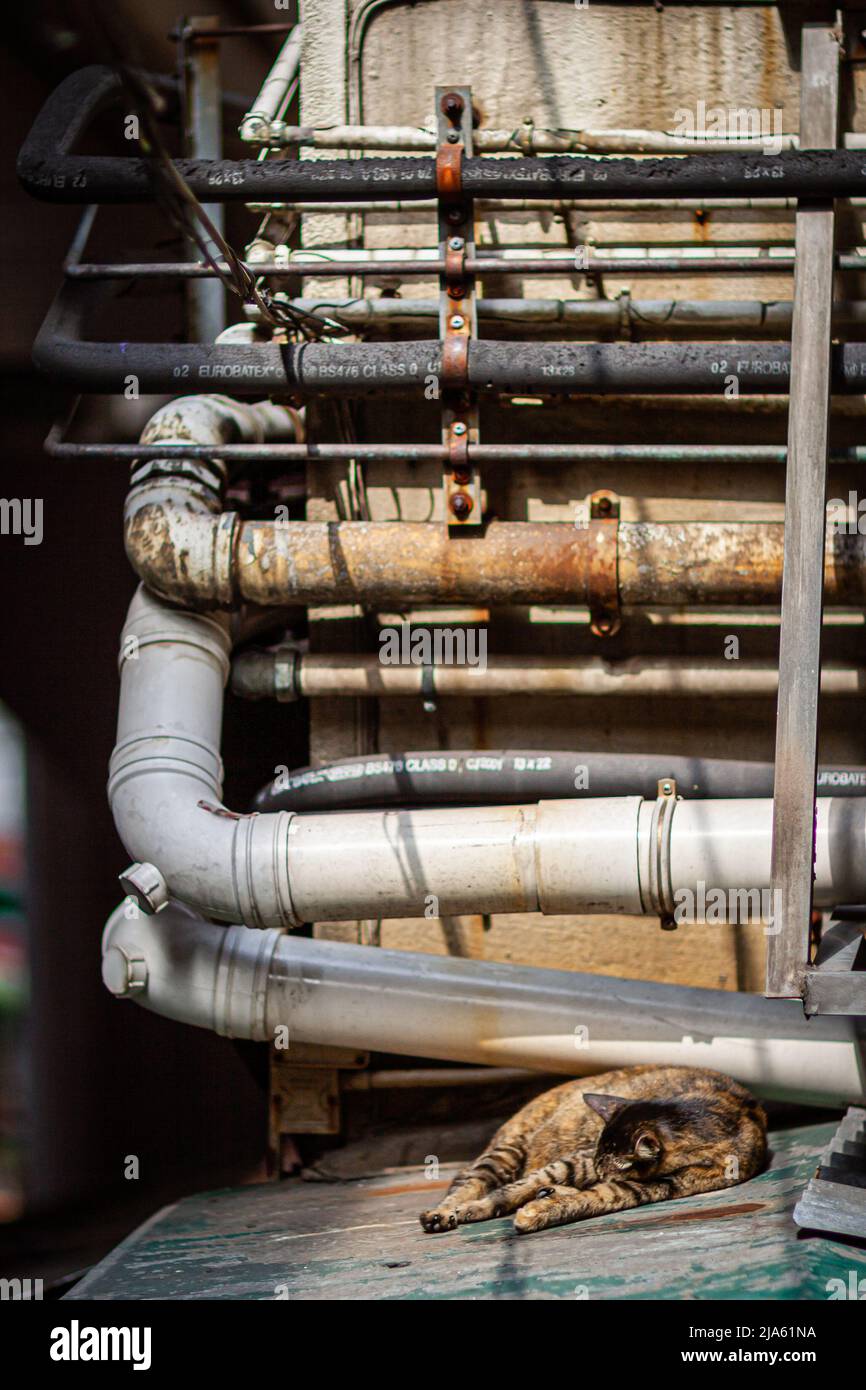 Corrigated pipe hi-res stock photography and images - Alamy