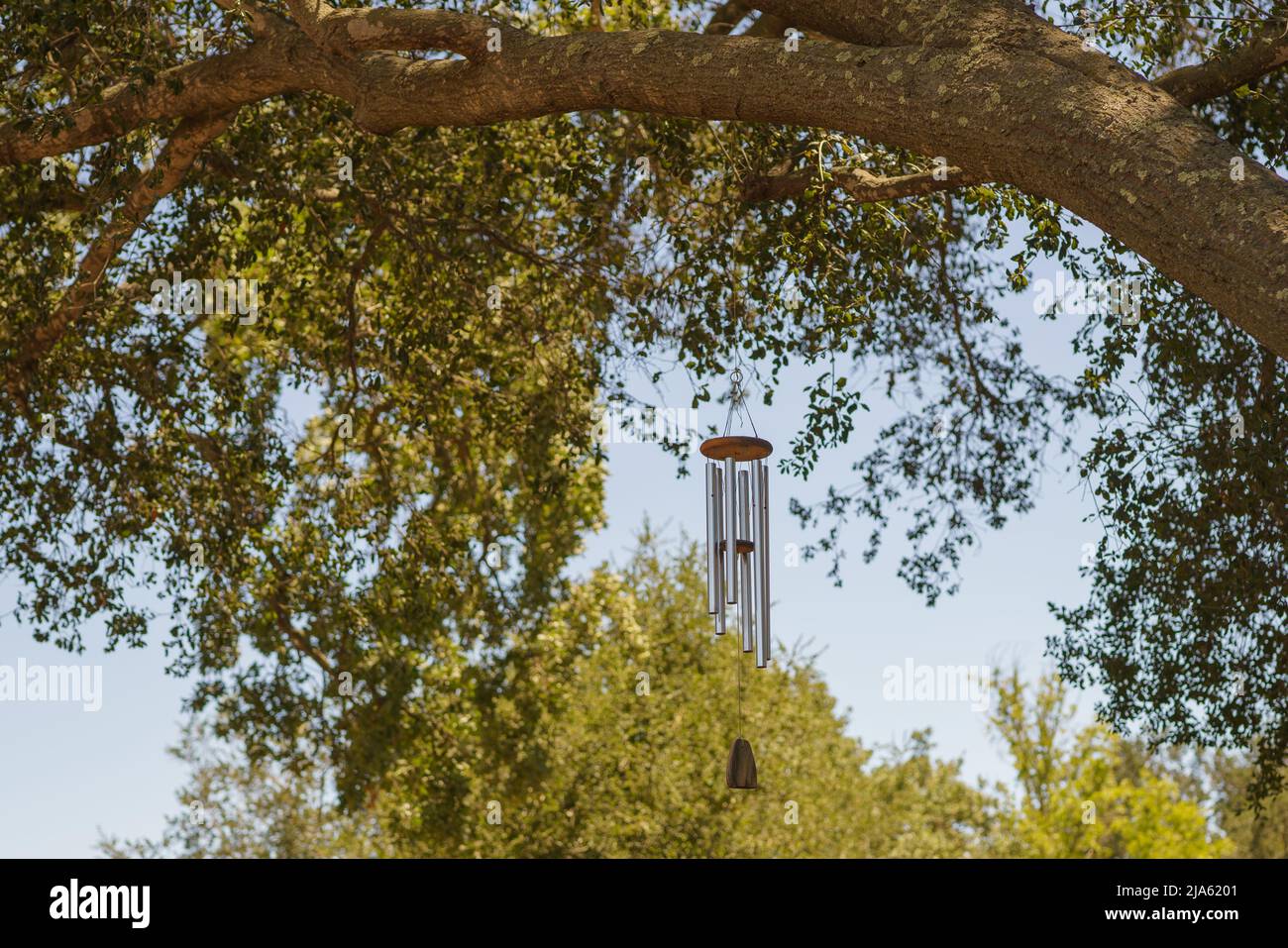 Bell tree instrument hi-res stock photography and images - Alamy