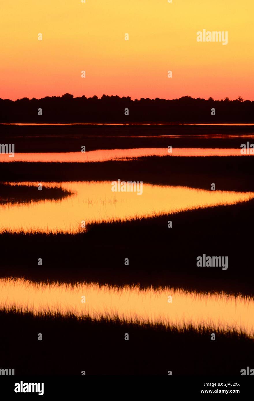 Inland waterways in Florida Stock Photo - Alamy