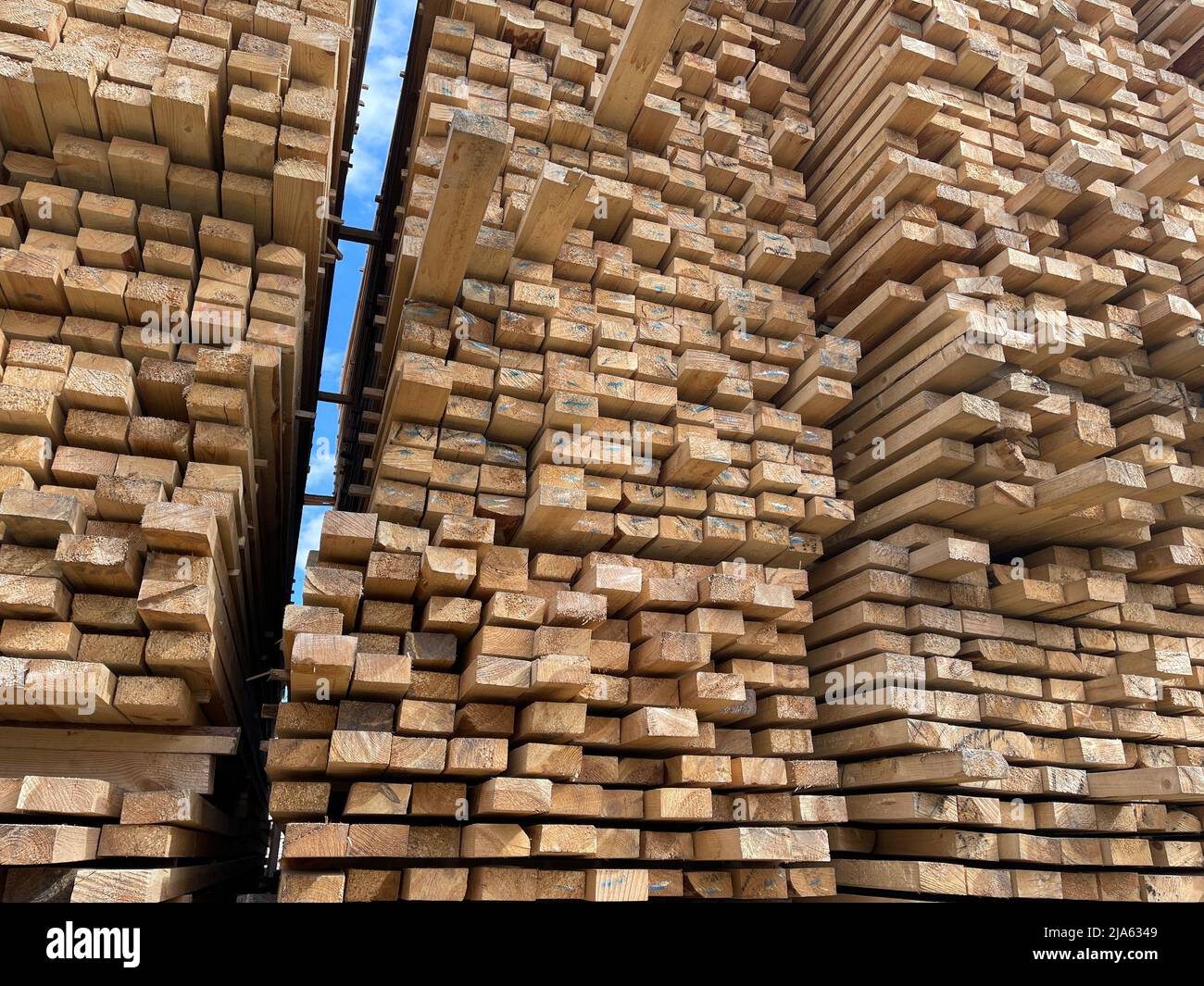 Wooden boards, lumber, industrial wood, timber. Pine wood timber stack ...