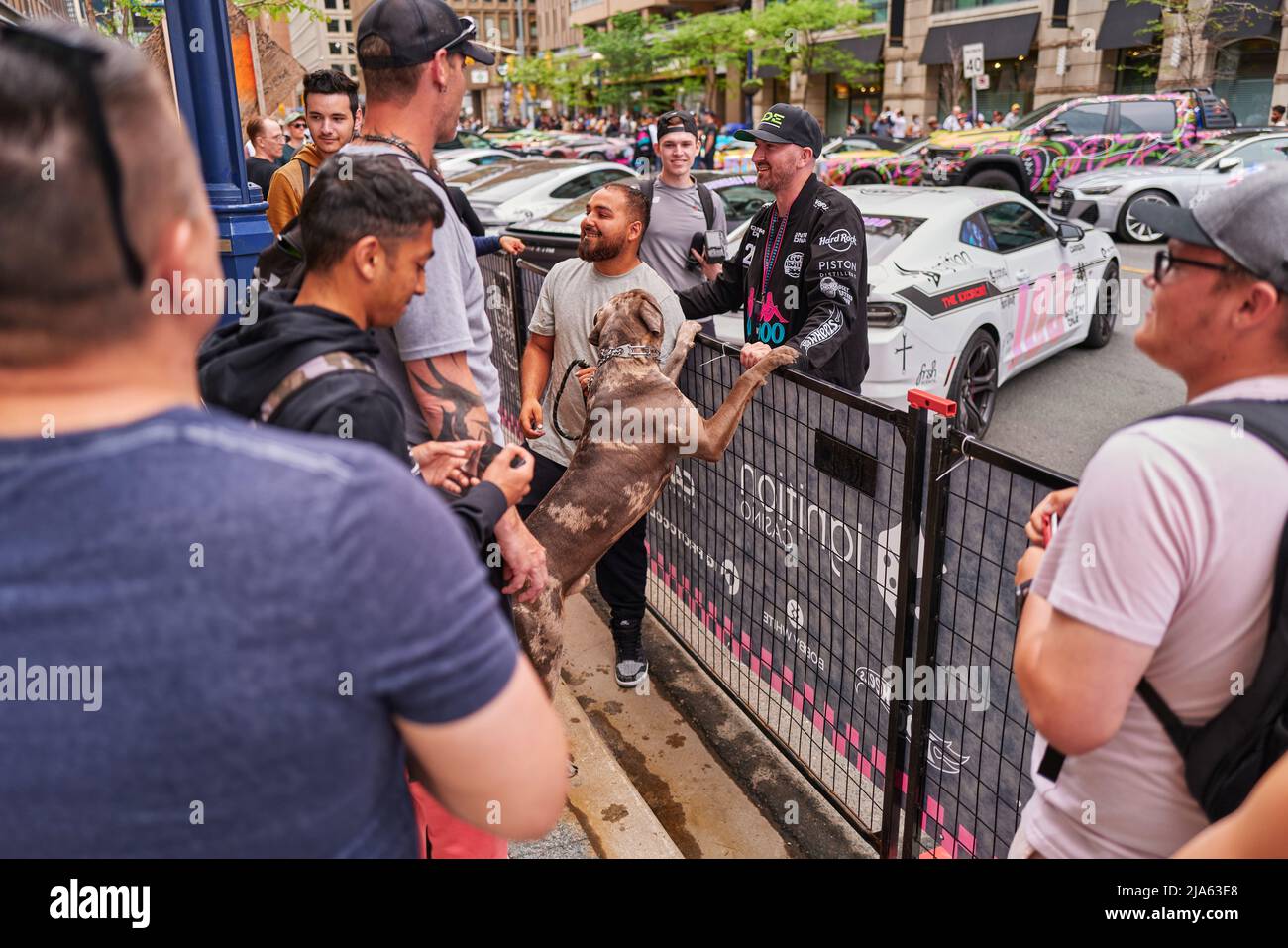 Gumball 3000 Car Rally Toronto Stock Photo - Alamy