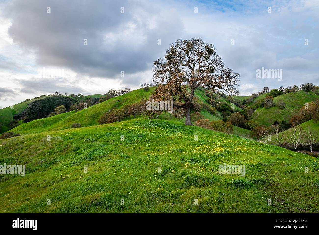 The Hiking Trails of Mount Diablo State Park Stock Photo - Alamy