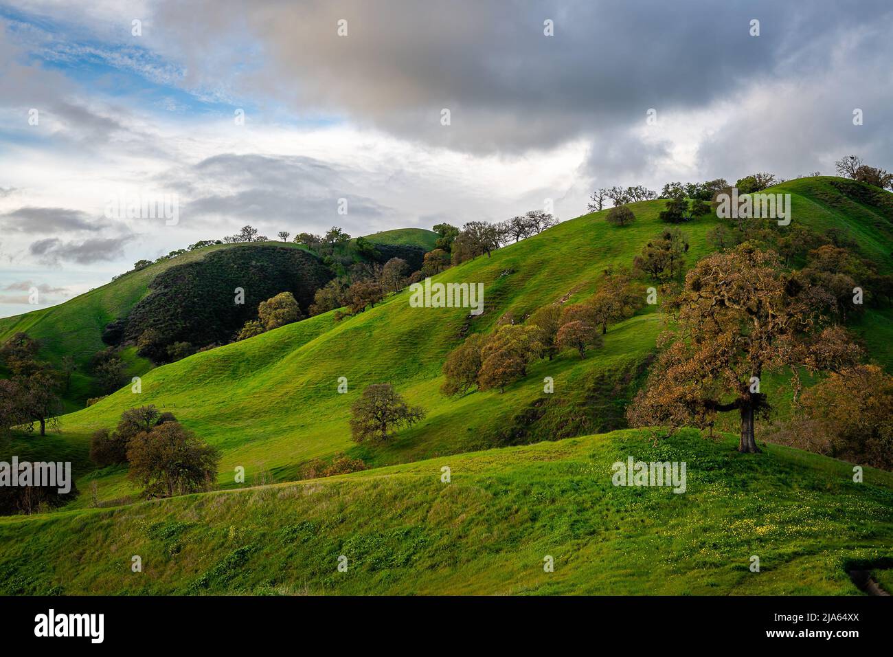 The Hiking Trails of Mount Diablo State Park Stock Photo - Alamy