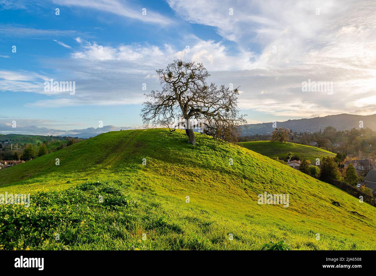 The Hiking Trails of Mount Diablo State Park Stock Photo - Alamy