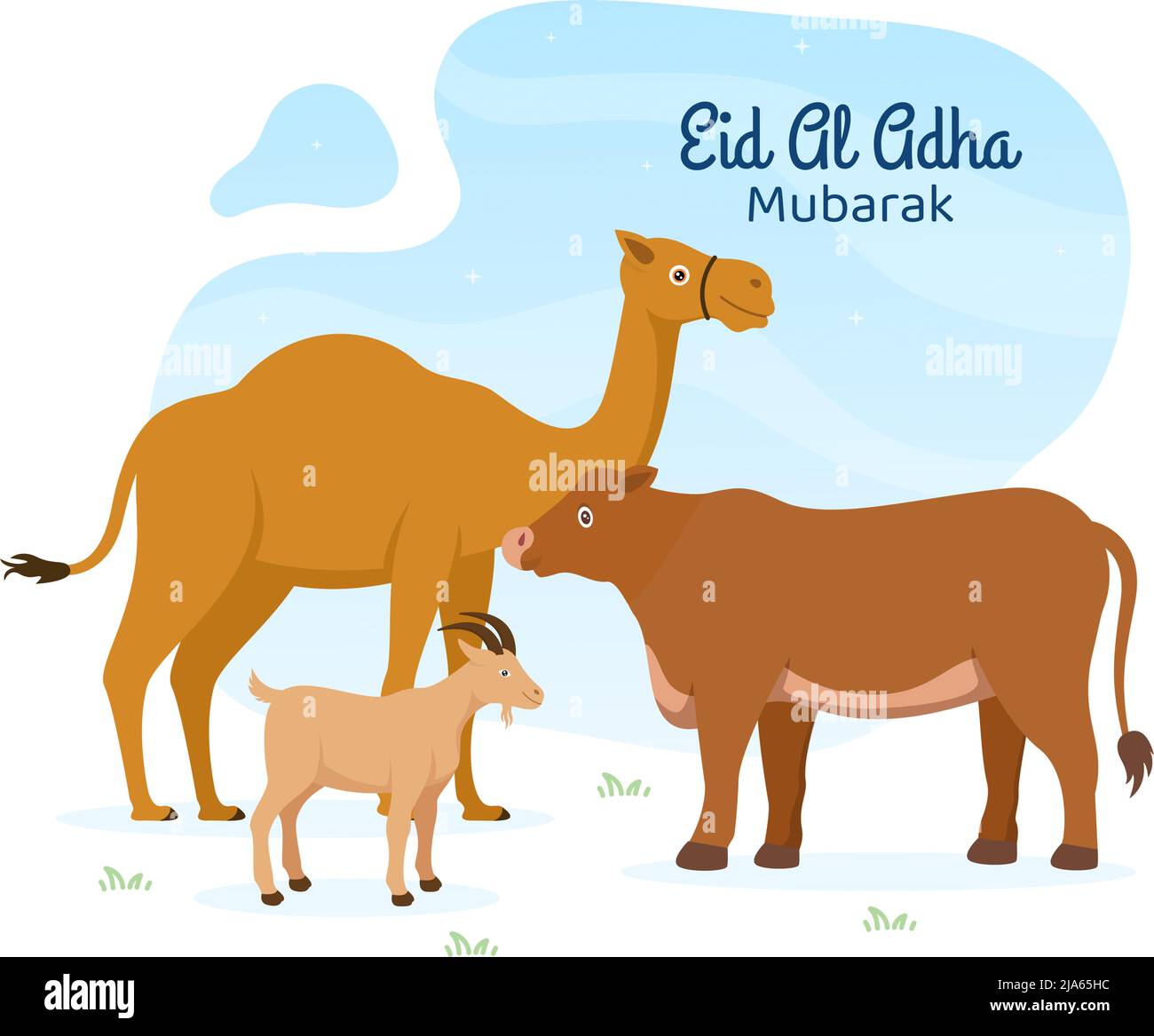 Eid Ul Adha Animals
