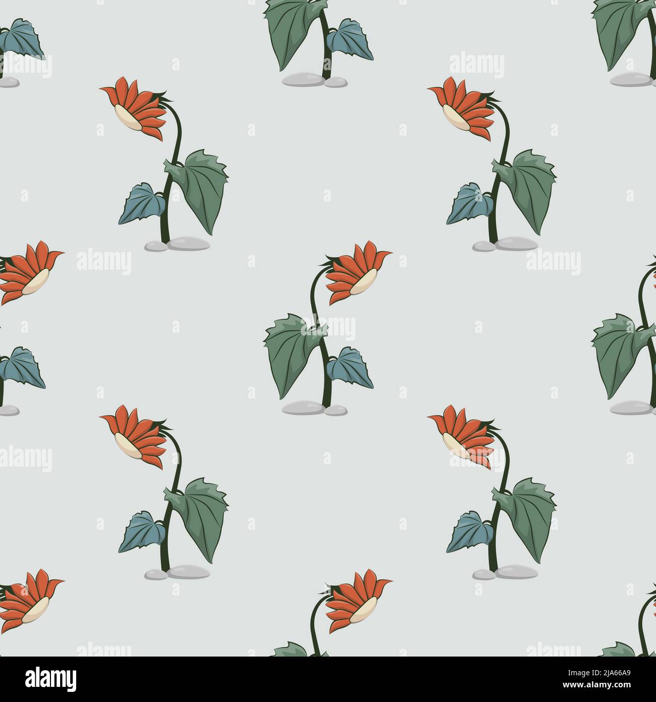 Mild colored sun flower with leaves isolated on light background is in ...