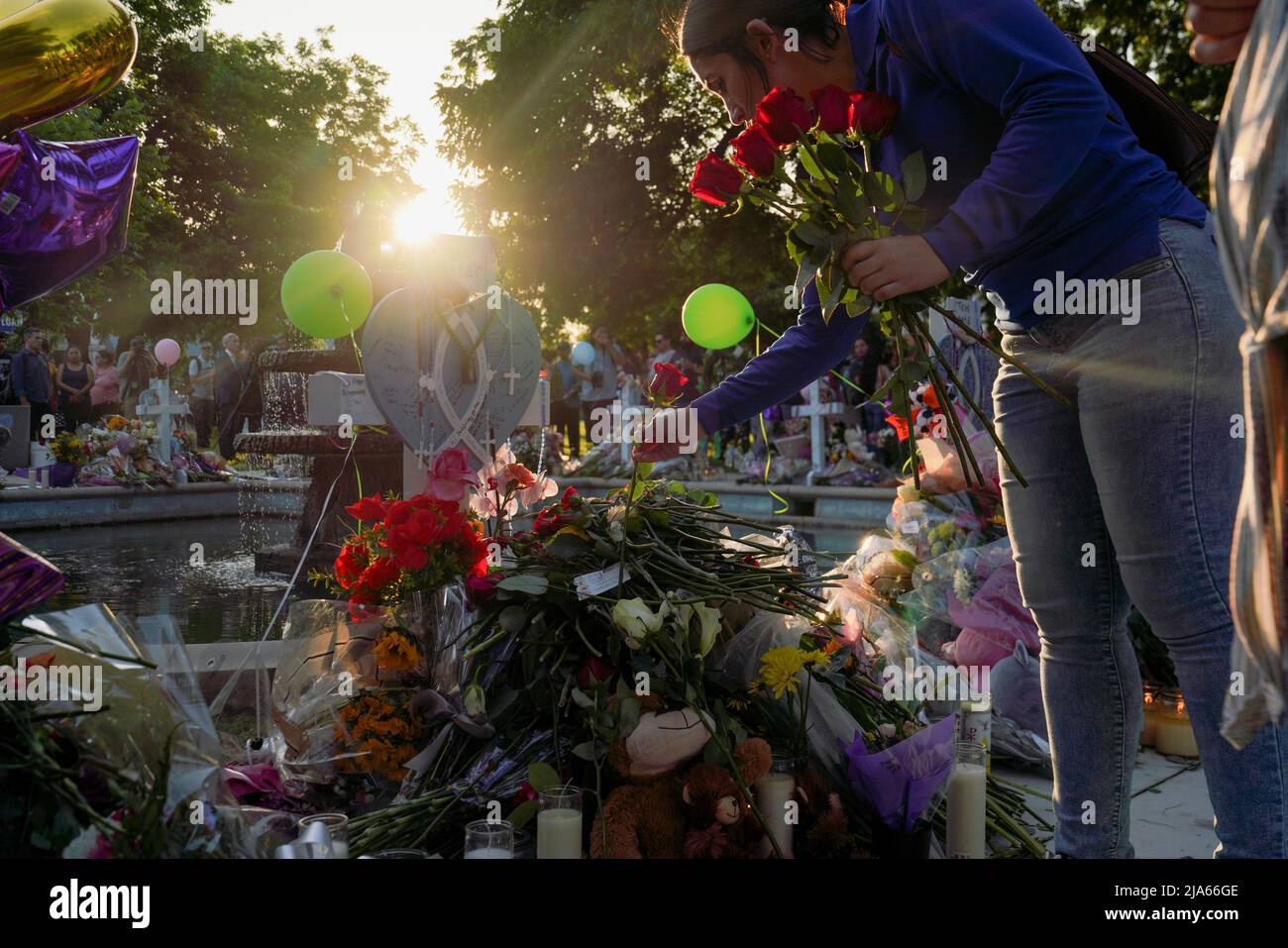 Layla Rose High Resolution Stock Photography and Images - Alamy