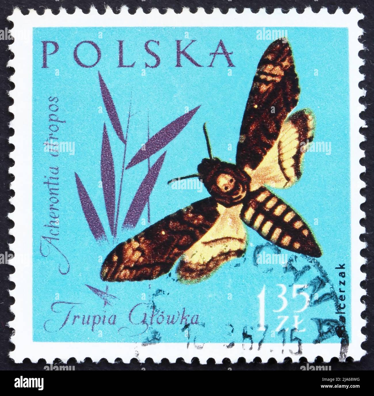 POLAND - CIRCA 1961: a stamp printed in the Poland shows Death’s- head ...