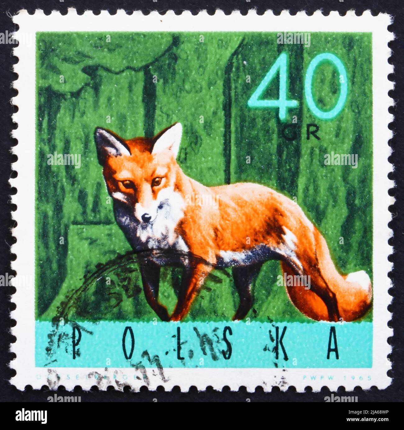 POLAND - CIRCA 1965: a stamp printed in the Poland shows Red Fox ...