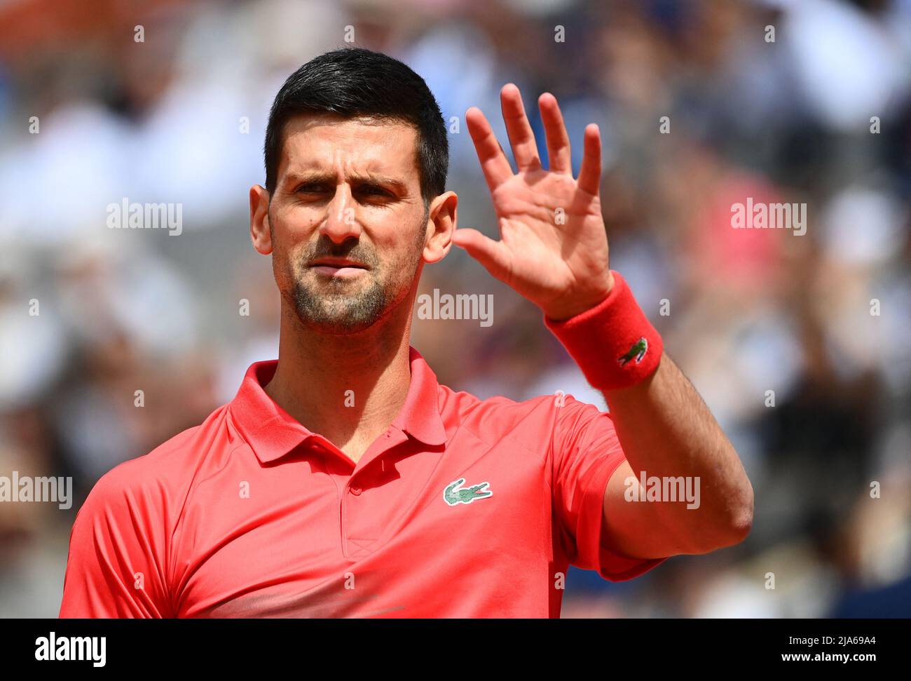 Novak Djokovic during the French Open Tennis at Roland Garros arena on ...