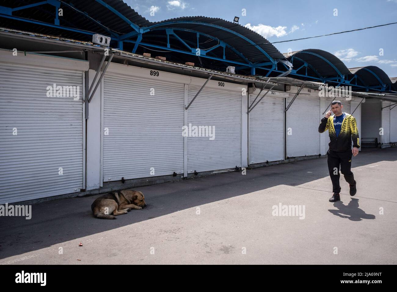 Bakhmut, Ukraine. 24th May, 2022. A man and a dog are seen in the empty ...