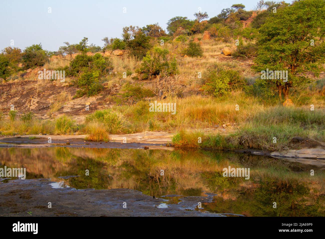 Riverbed landscape in the Kruger National Park in South Africa Stock ...
