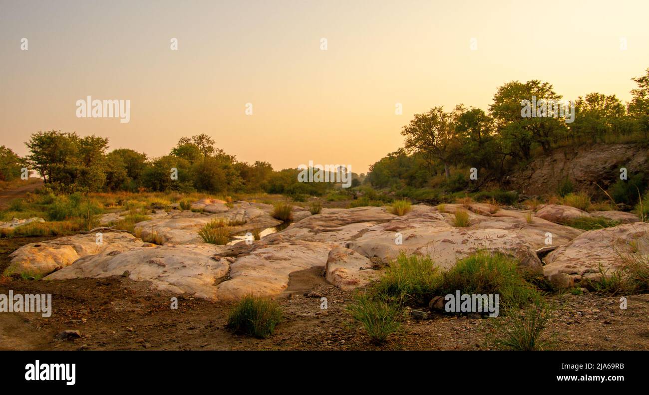 Riverbed landscape in the Kruger National Park in South Africa Stock ...