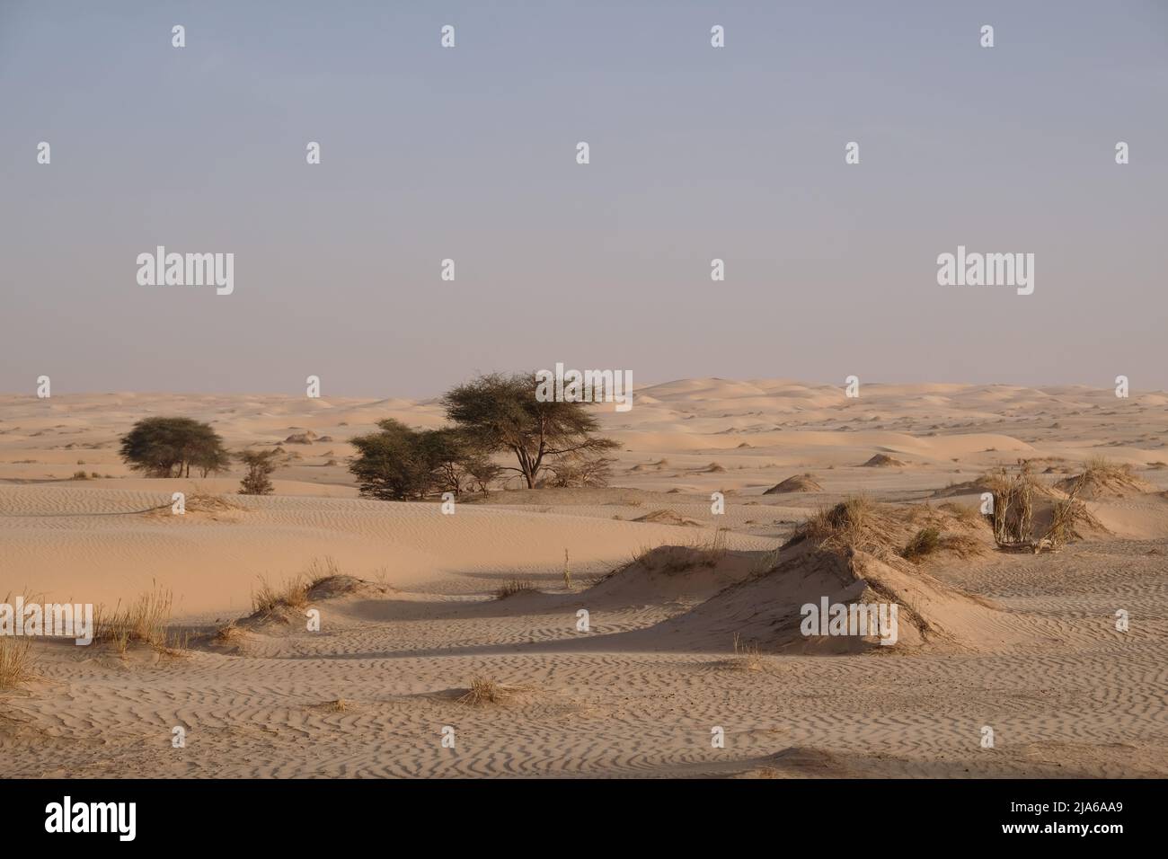 Just a tiny sample of the beauty that Mauritania's enormous desert ...