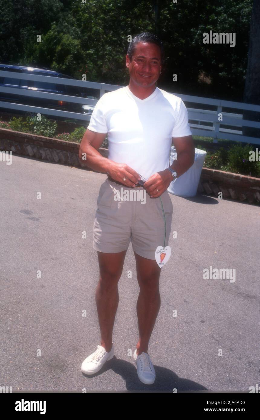 Los Angeles, California, USA 9th June 1996 Olympian Diver Greg Louganis ...