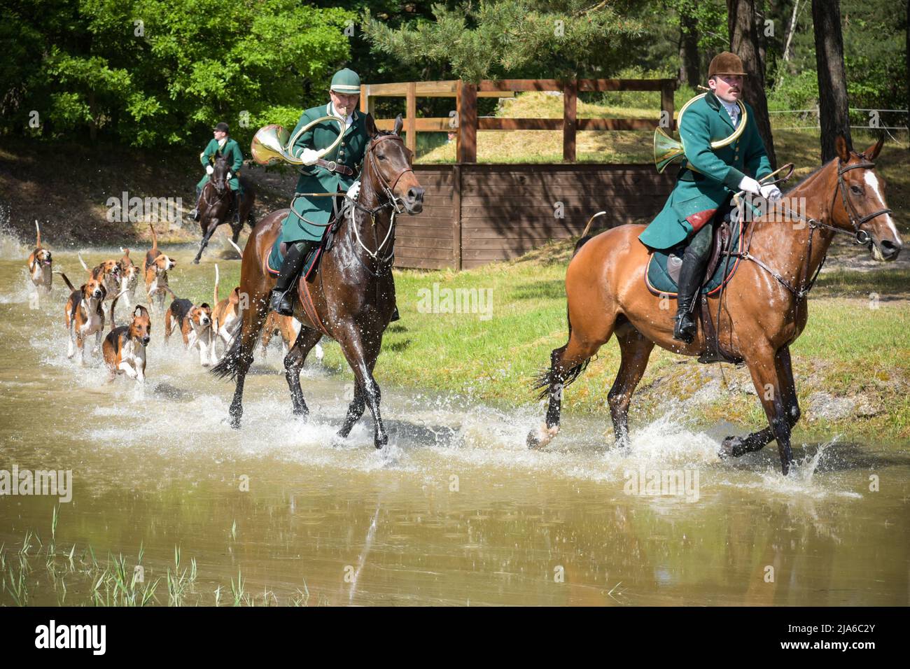 Fontainebleau - France - May 2022: demonstration of hunting with hounds ...