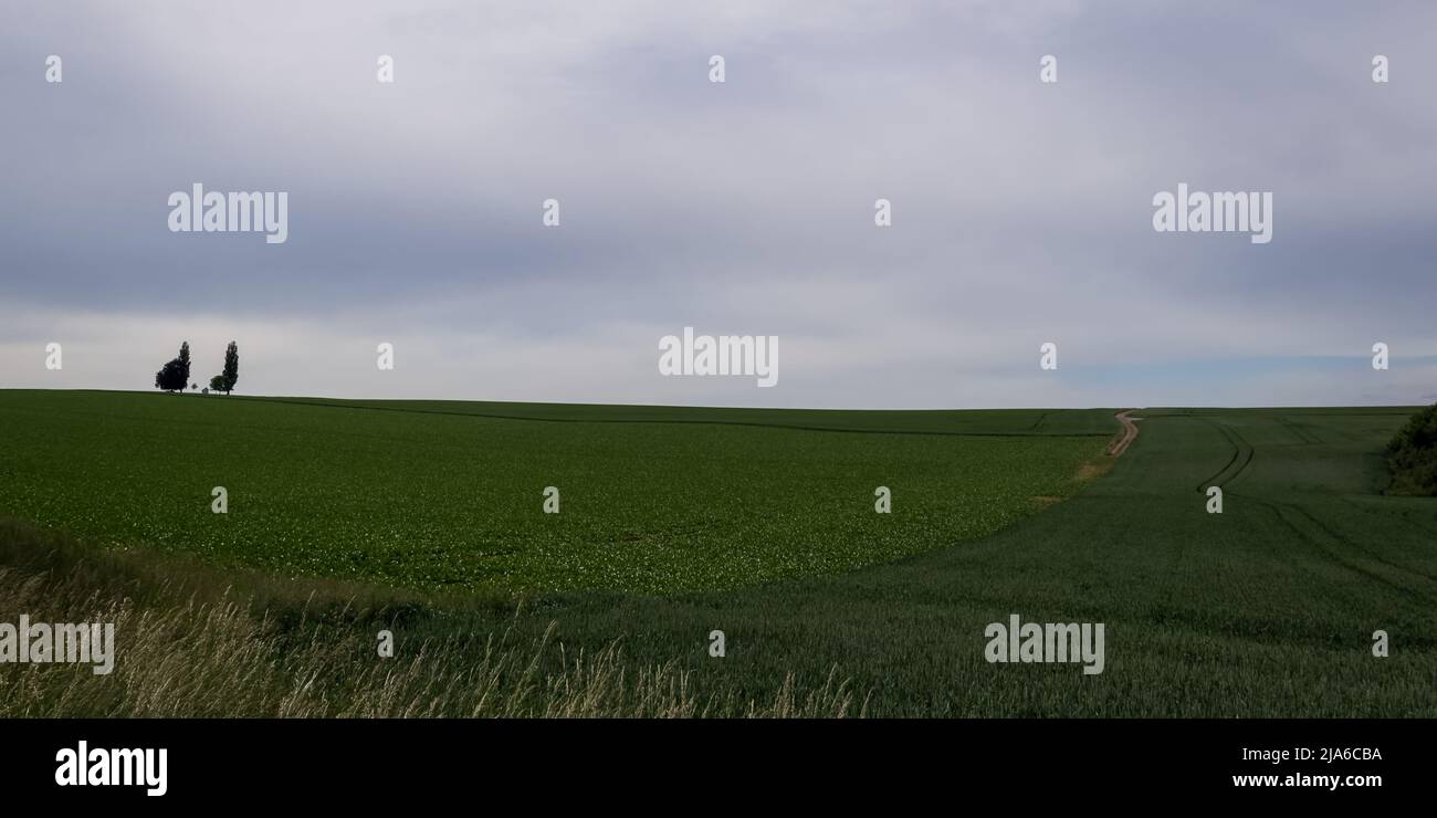 Clean fields and a lonely house in a beautiful landscape of Wallonia ...