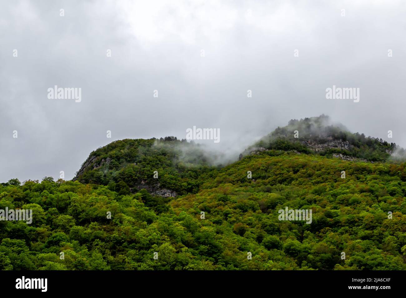 Mountain forest in rainy weather covered with low overcast clouds Stock ...