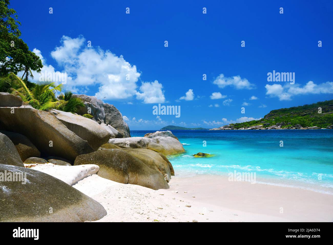Tropical beach with coconut palm trees on Coco Island, Indian ocean ...
