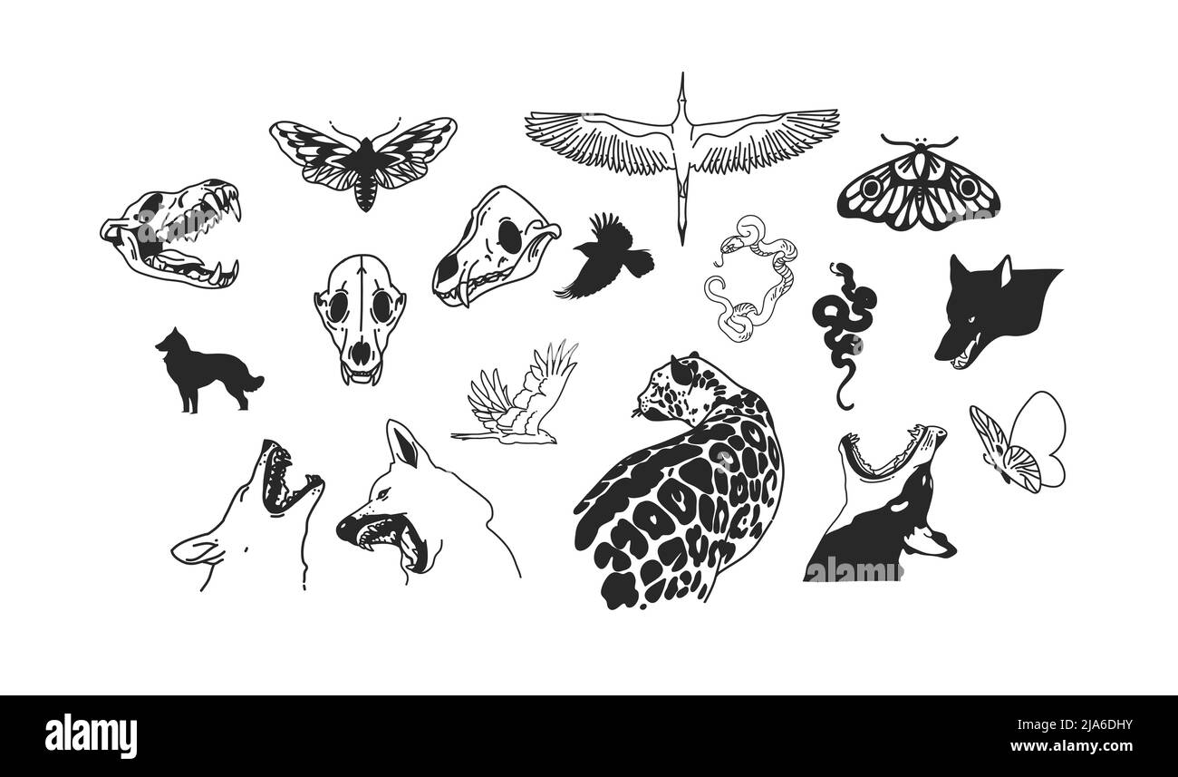 Hand drawn vector abstract stock flat graphic illustrations collection ...