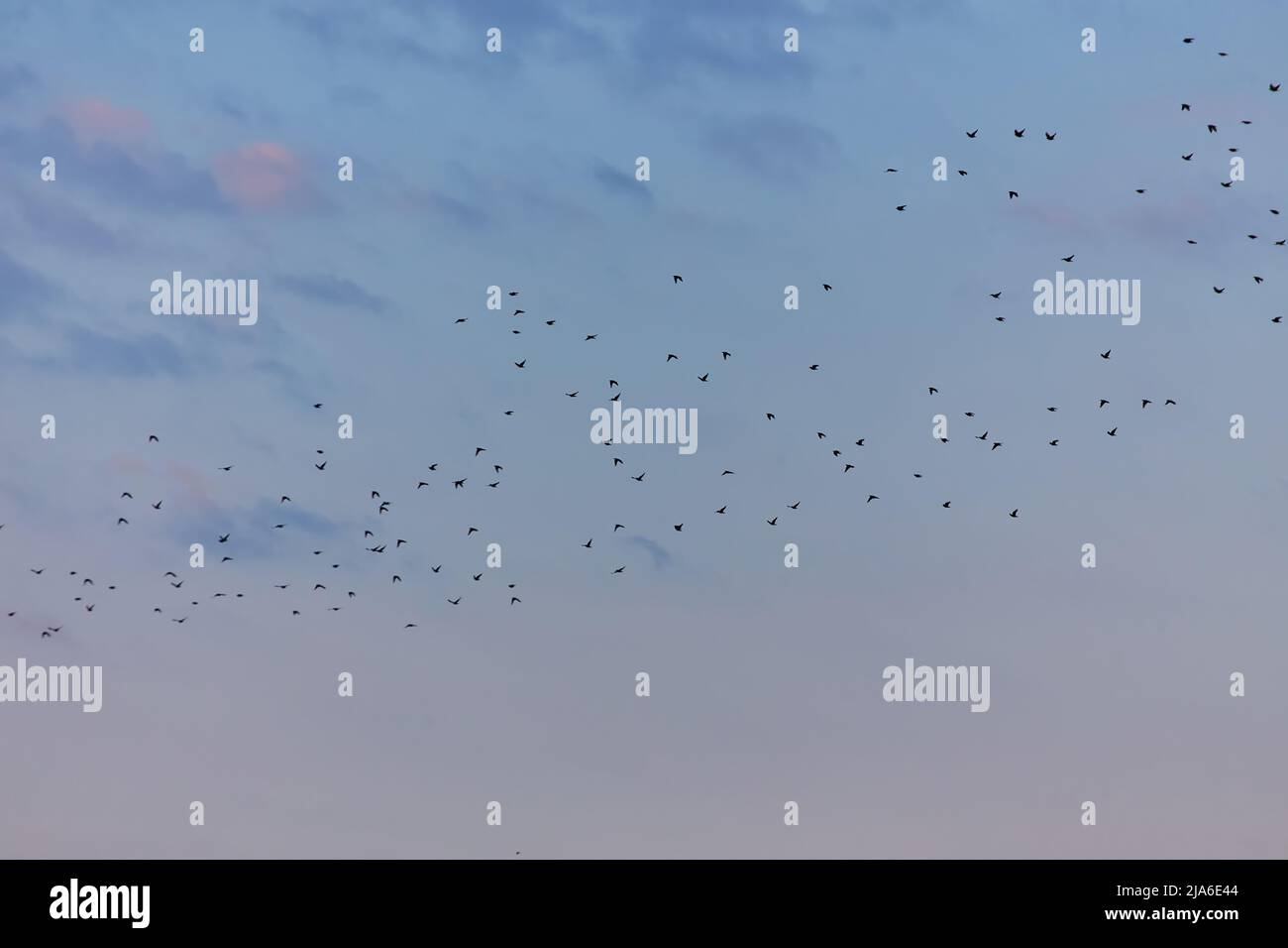 sunset sky with the light of the sun behind Stock Photo - Alamy