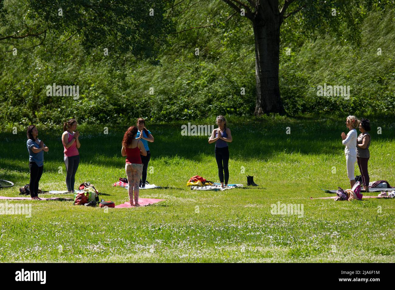 group of women in the park doing yoga Stock Photo - Alamy