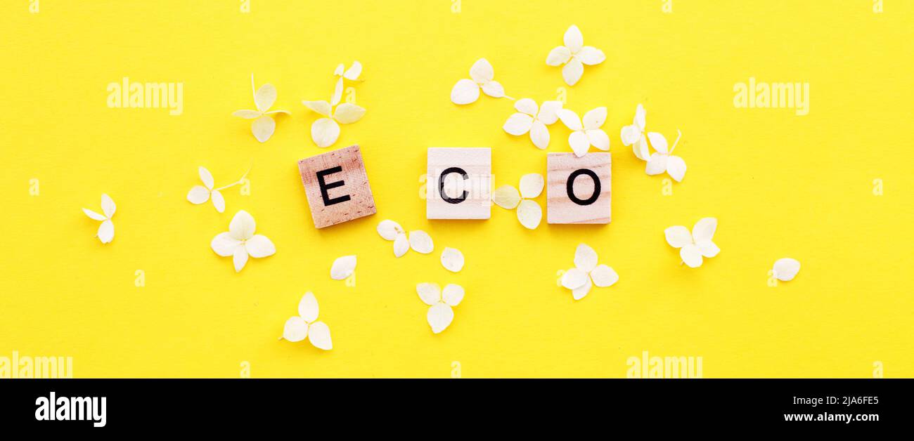 Eco word written from a wooden cubes with letters on a yellow ...