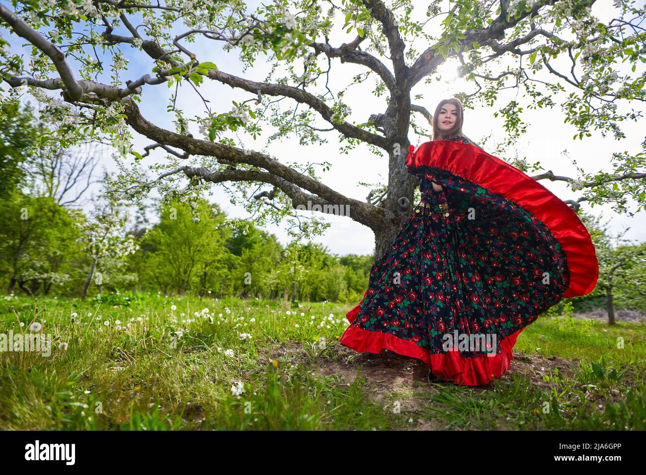 Young woman in traditional gypsy dress, performing a dance in an apple ...