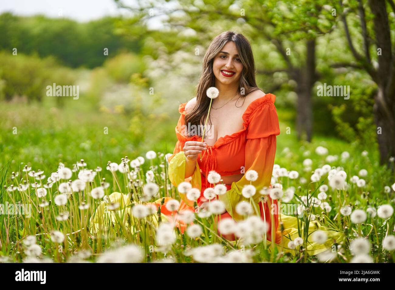 Young indian woman in a dandelion field in the apple orchard Stock ...