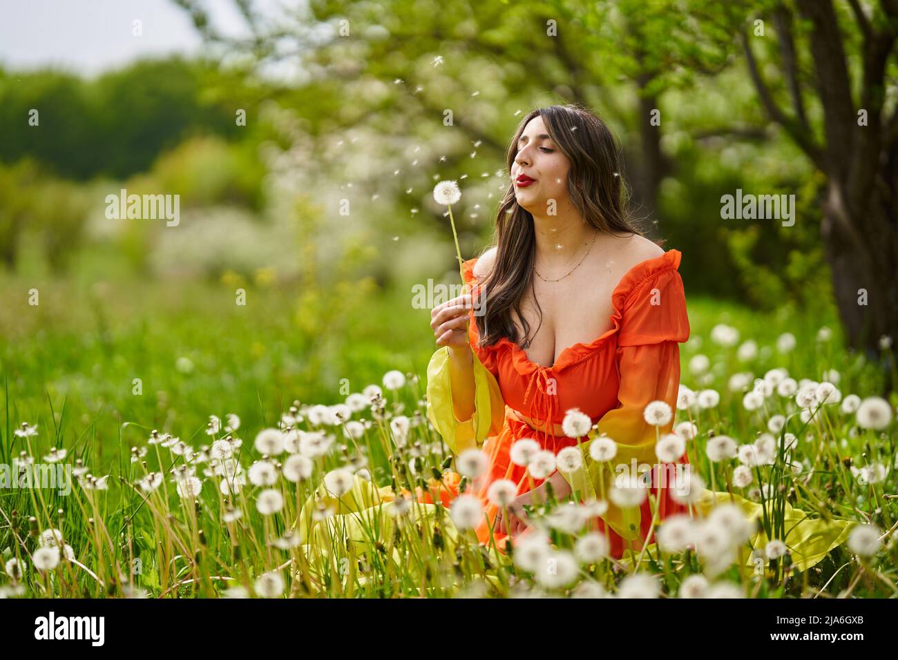 Young indian woman in a dandelion field in the apple orchard Stock ...