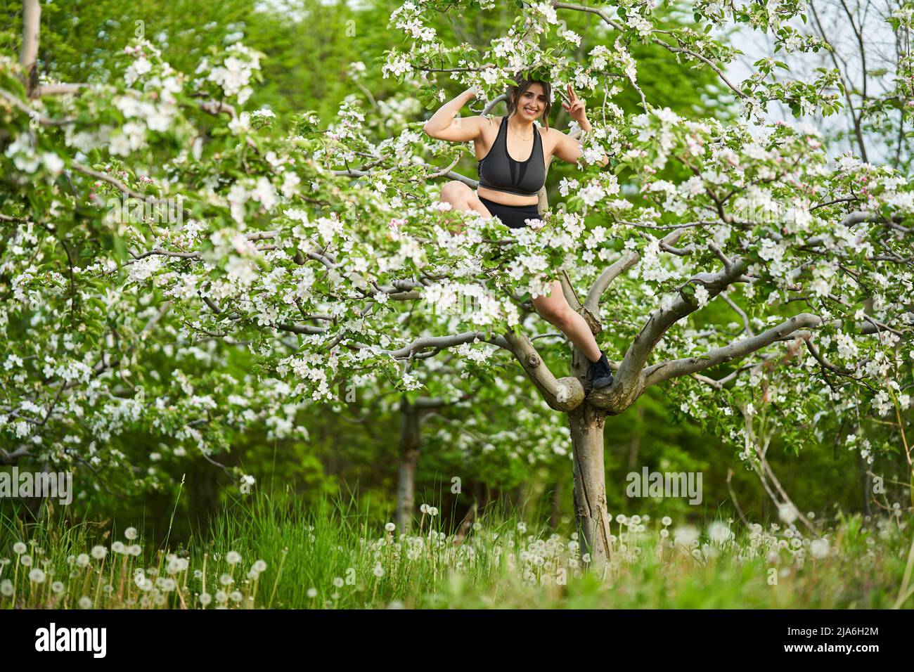 Beautiful size plus sporty woman in fitness attire, climbing a ...