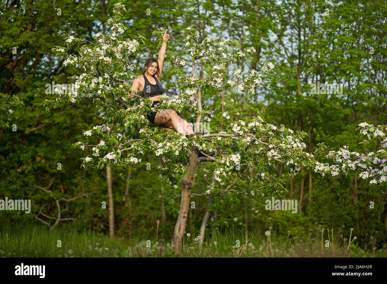 Beautiful size plus sporty woman in fitness attire, climbing a ...