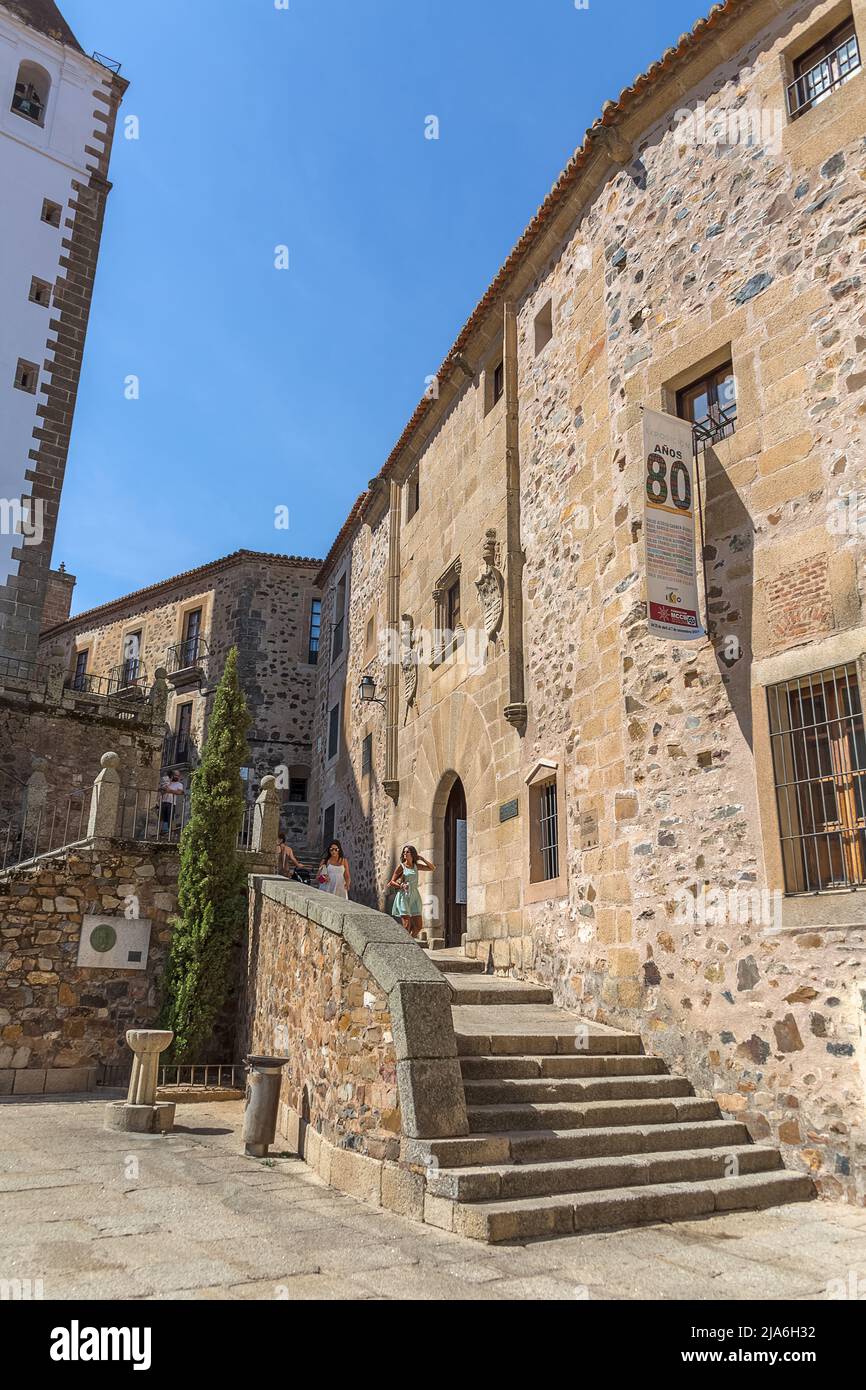 Plan latin cross hi-res stock photography and images - Alamy