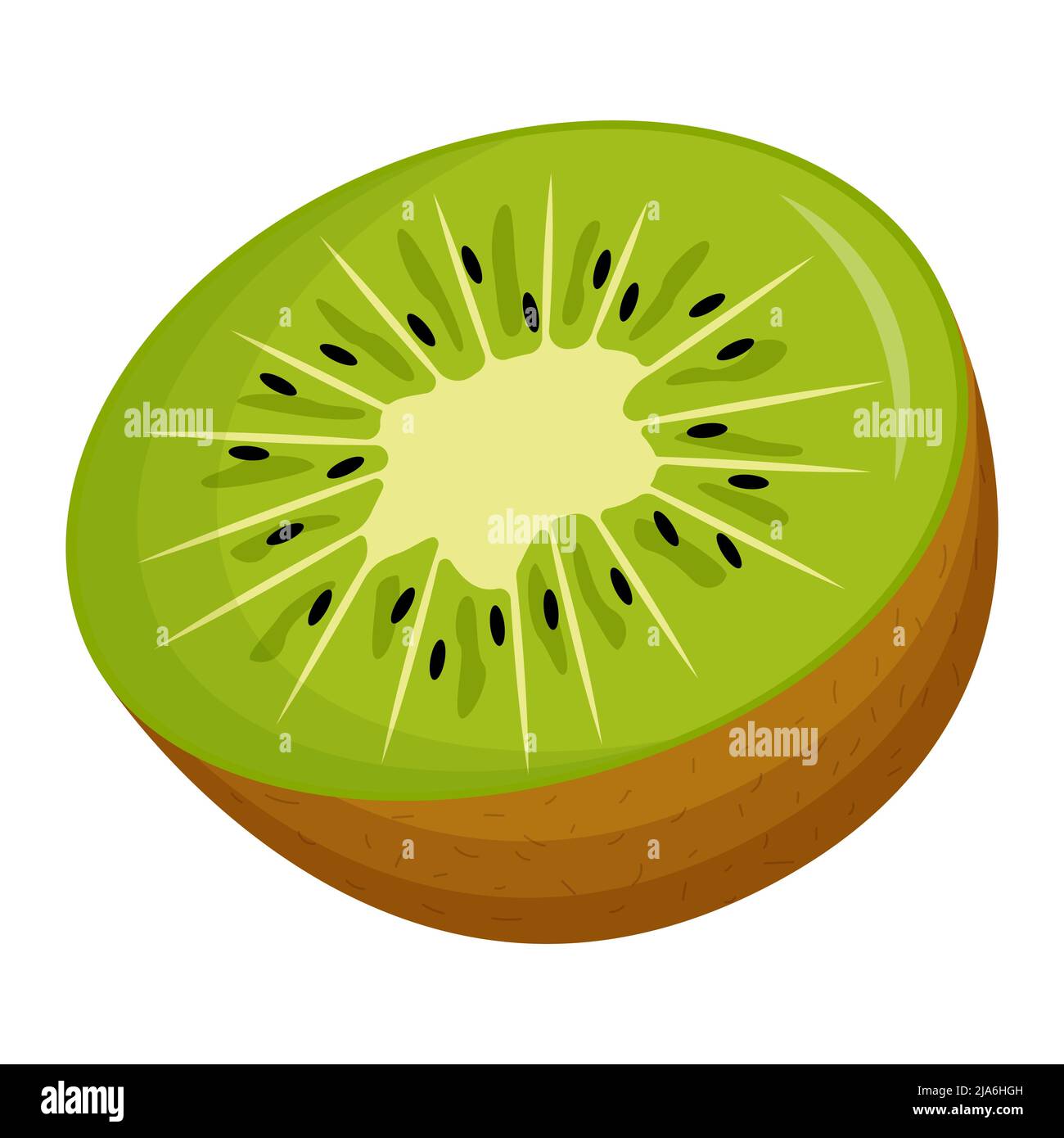Kiwi inside Stock Vector Images - Alamy