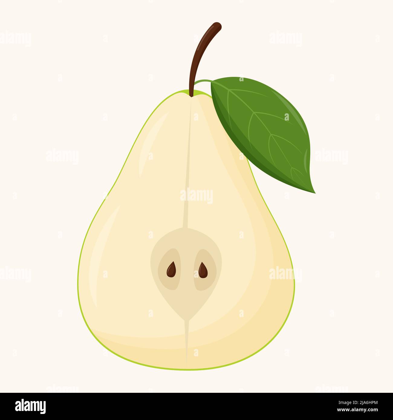 Half of green pear on white background. Flat vector illustration Stock ...