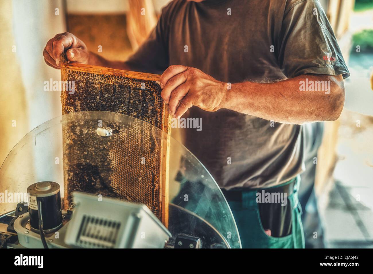 Centrifuge device that Spin the Honey from cells. Getting honey from ...